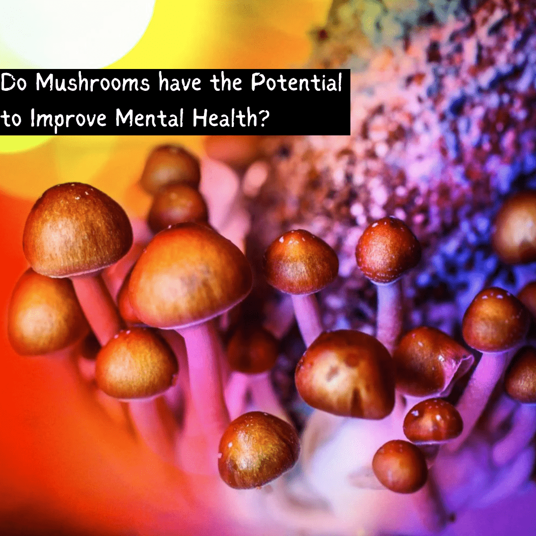 Psilocybin – Magic Mushrooms that heal spirit – My Healthy Addictions